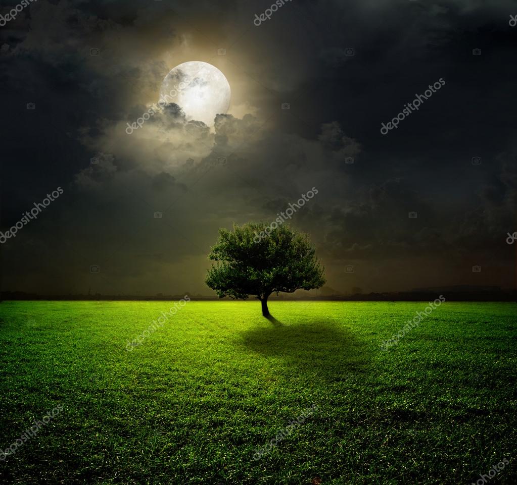 Green Moon Wallpaper