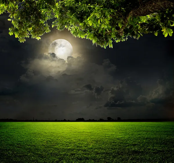 Night Stock Photos, Royalty Free Night Images | Depositphotos