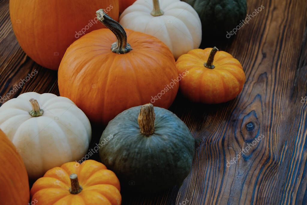 Manojo de calabazas de diferentes tipos, formas y colores sobre fondo ...