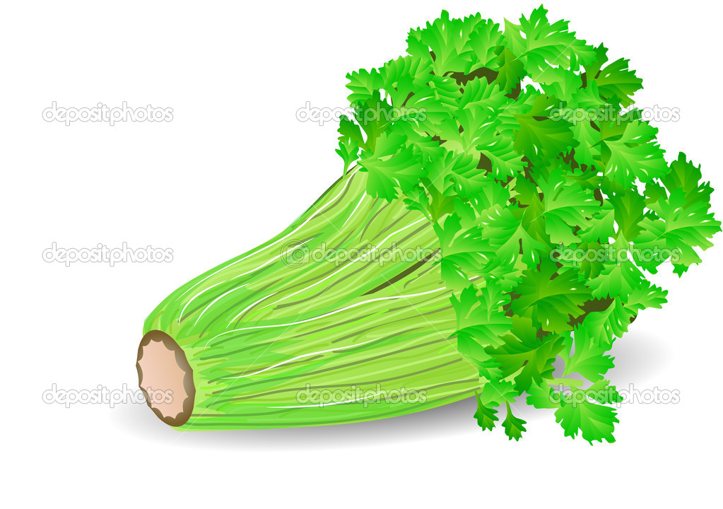 Apio Vector de stock por ©arkela 30210571