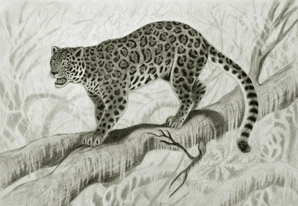 Jaguar on the tree in jungle — Stock Photo © nico99 #28890081