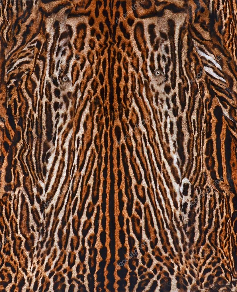 Leopard skin background Stock Photo by ©nico99 34893763
