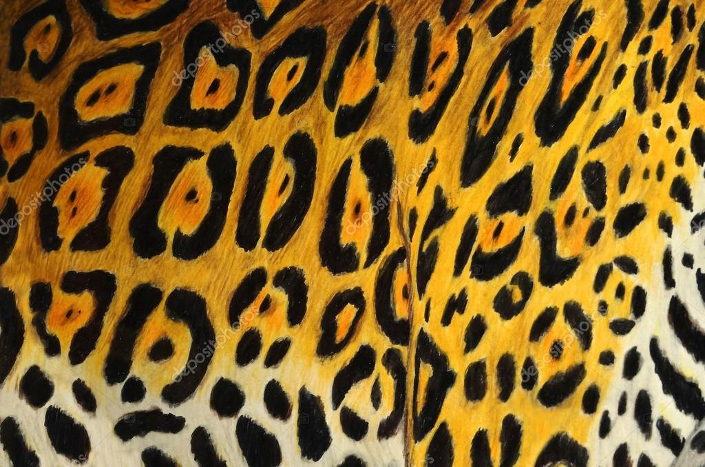 Jaguar pattern — Stock Photo © nico99 #37900199