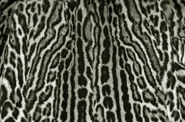 Ocelot skin background Stock Photo by ©nico99 39920645