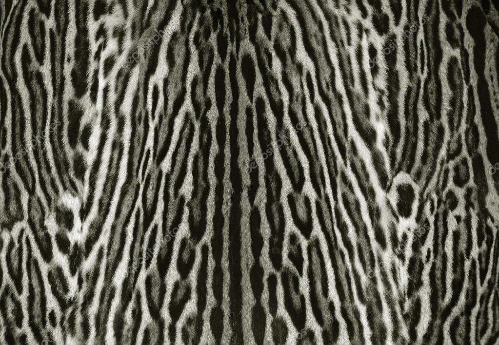 Ocelot skin background Stock Photo by ©nico99 39920645