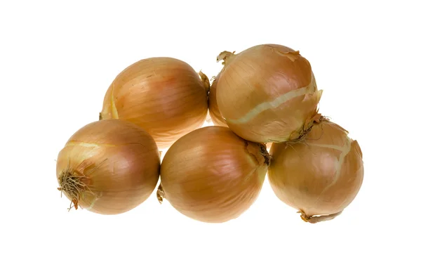 Cebollas españolas aisladas sobre blanco 2023