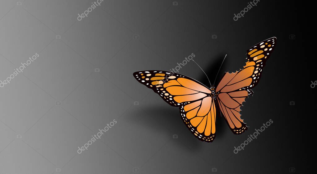 Diseño gráfico de la icónica mariposa monarca con ala marcada con ...