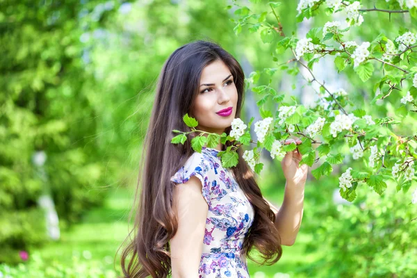 Spring woman nature Stock Photos, Royalty Free Spring woman nature ...