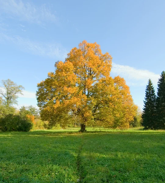 Autunm Stock Photos, Royalty Free Autunm Images | Depositphotos®