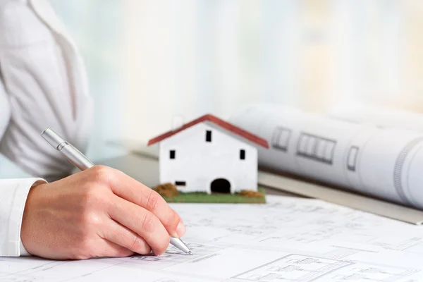 Reviewing paperwork Stock Photos, Royalty Free Reviewing paperwork ...