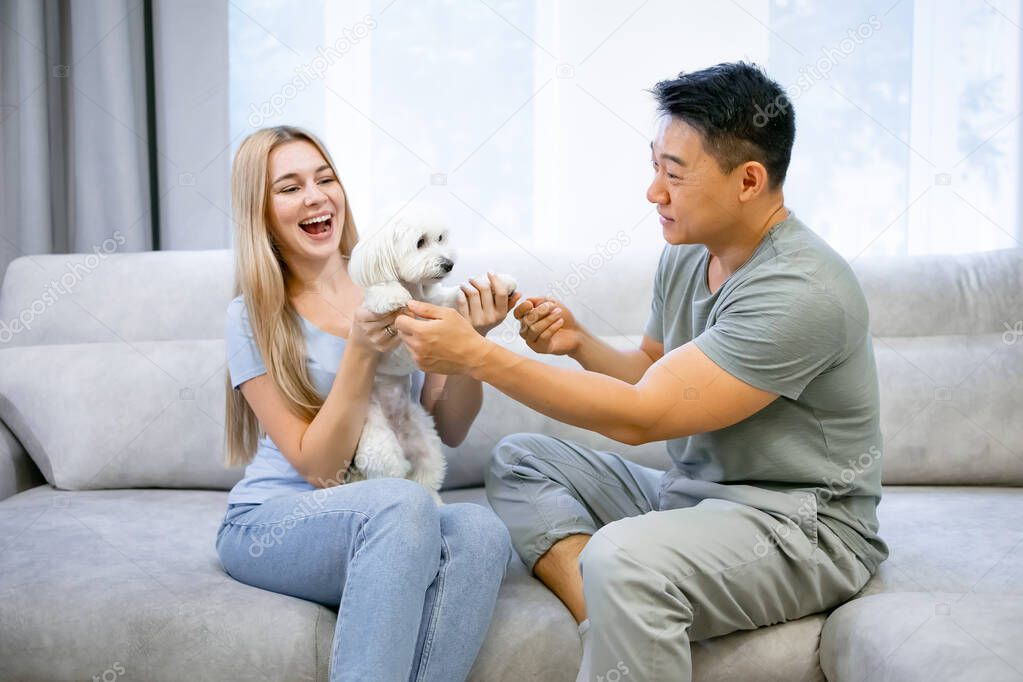 feliz familia pareja joven chica y lindo chico pasa tiempo sentado con su amado perro en la ...