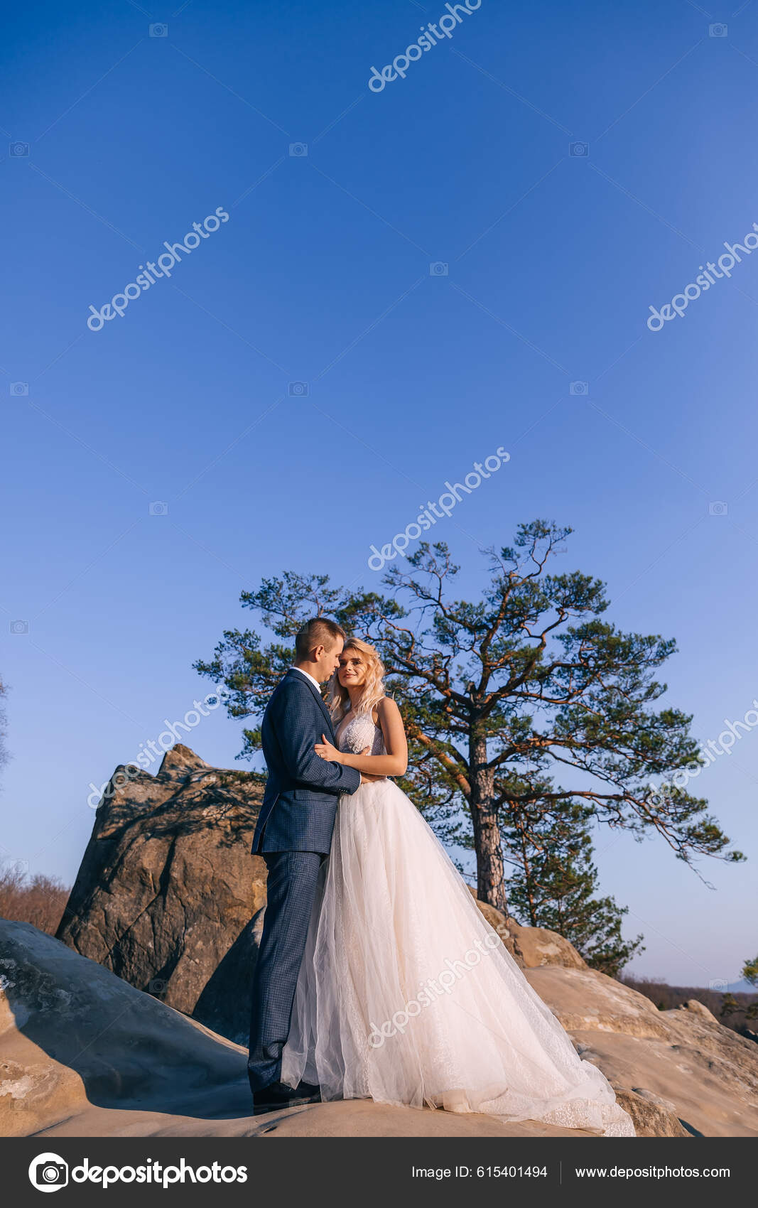 Beautiful Newlyweds Hugging Backdrop Rocks Stones Trees — Stock Photo ...