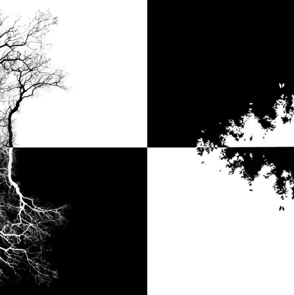 Dark tree art Stock Photos, Royalty Free Dark tree art Images ...