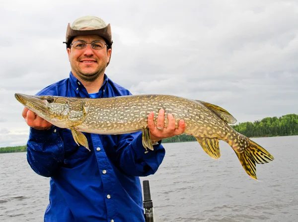 Northern pike fish Stock Photos, Royalty Free Northern pike fish Images ...