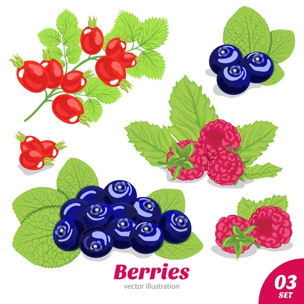 ᐈ Wild berries drawing stock vectors, Royalty Free wild berries ...