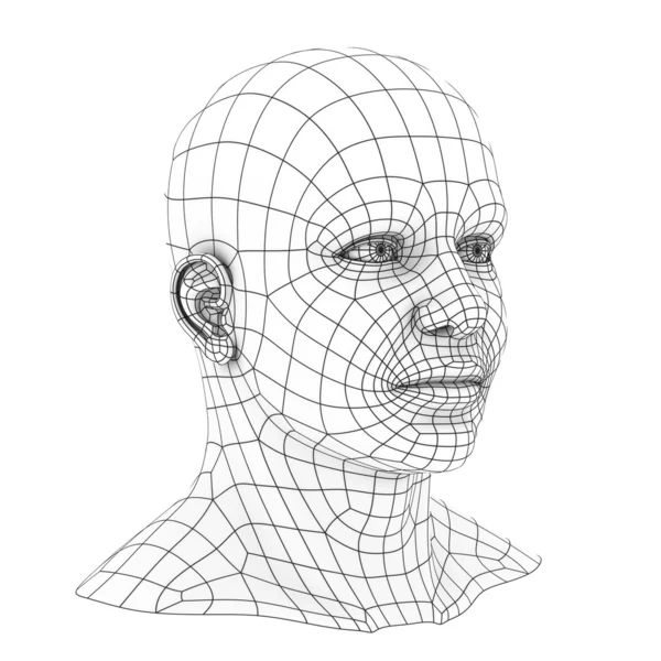Wireframe head Stock Photos, Royalty Free Wireframe head Images ...
