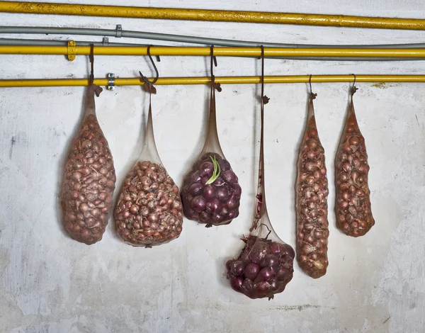 Onion pipe Stock Photos, Royalty Free Onion pipe Images | Depositphotos