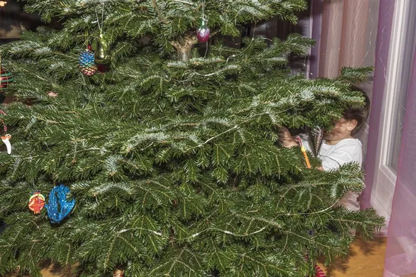 Christmas fail Stock Photos, Royalty Free Christmas fail Images ...