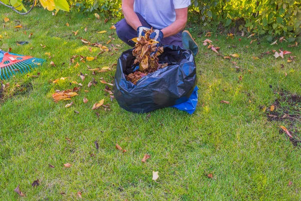 People Doing Yard Work