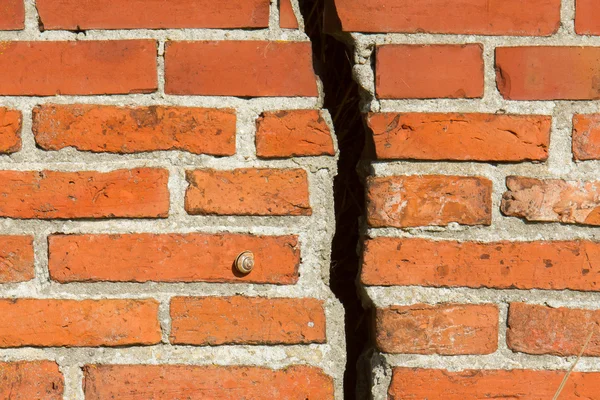 Snail stucco Stock Photos, Royalty Free Snail stucco Images | Depositphotos