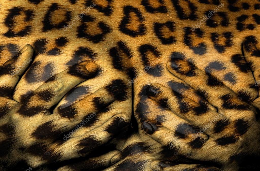 Hands covering breasts Stock Photo by ©michaklootwijk 37214147