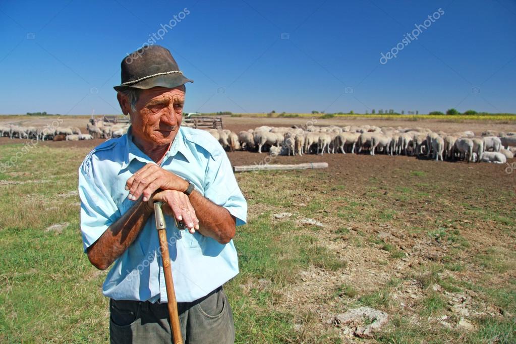 Old Shepherd Stock Photo by ©branex 32917521