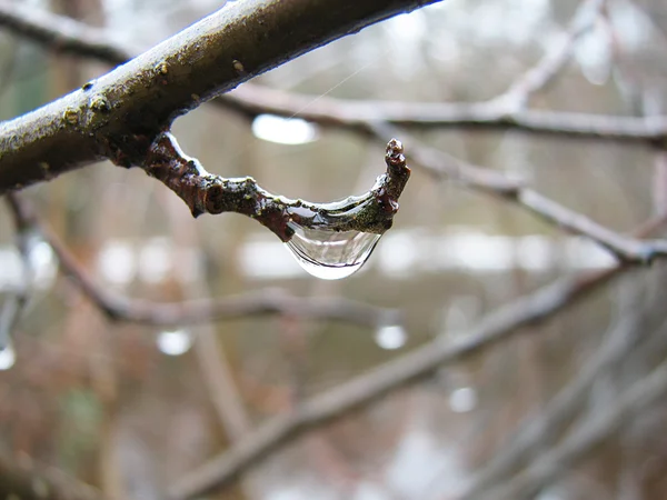 Spring drops Stock Photos, Royalty Free Spring drops Images | Depositphotos