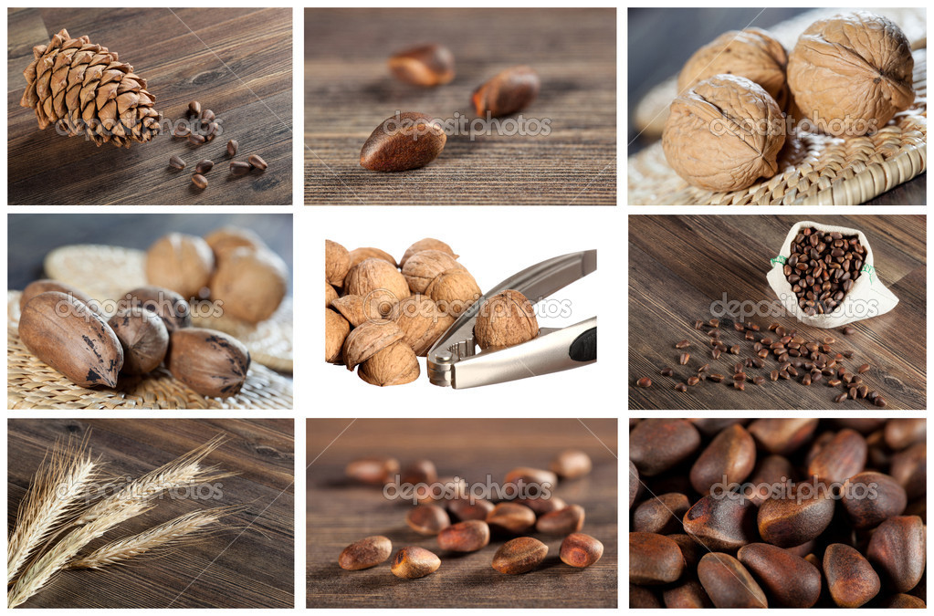 Collection of nut and seed images Stock Photo by ©zestmarina 21615021