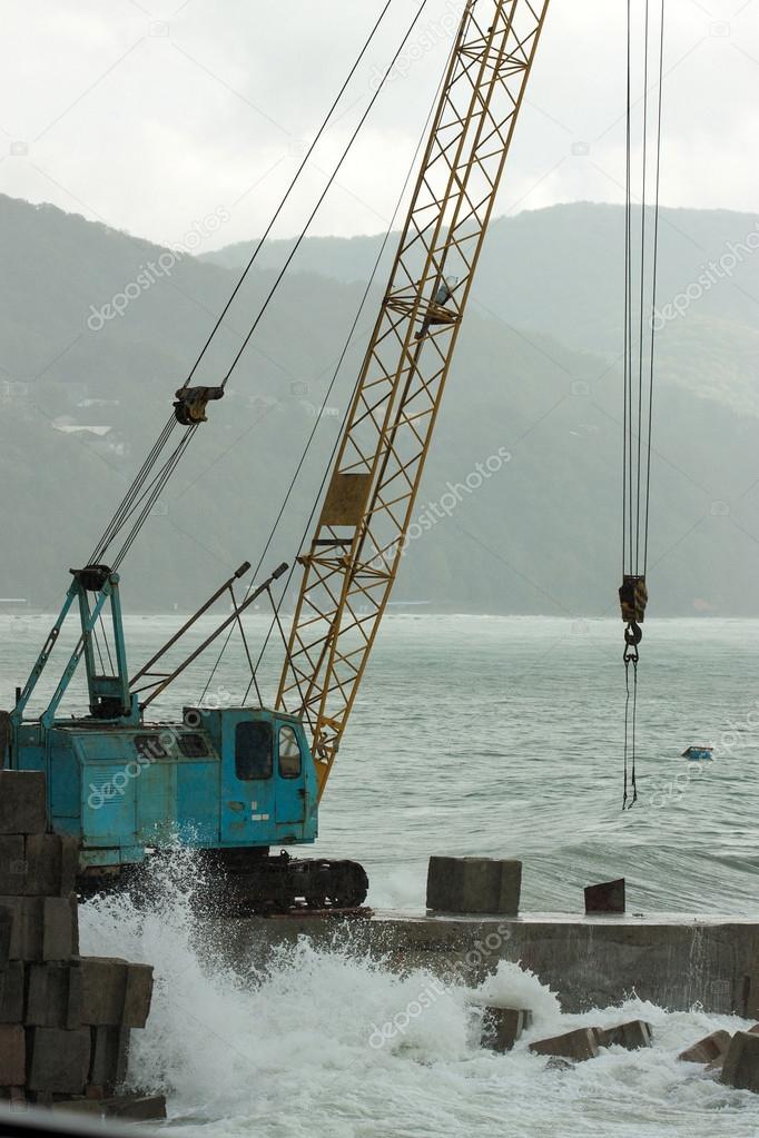 Crane at storming sea Stock Photo by ©zestmarina 31238901