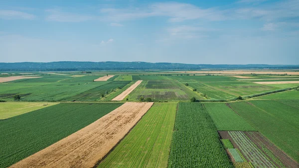 Mainda puri fotos de stock, imágenes de Mainda puri sin royalties ...