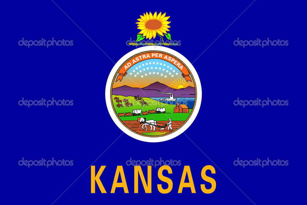 1966 Kansas State Flag