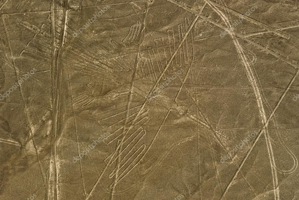 Nazca Lines Condor Stock Photo by ©demerzel21 44240807
