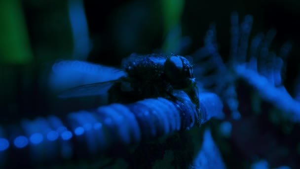 44 Time traps Videos, Royalty-free Stock Time traps Footage | Depositphotos