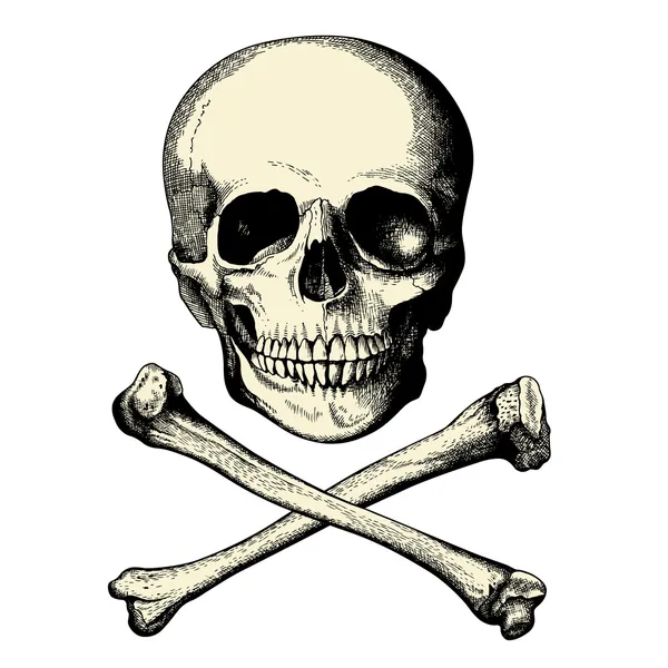 Skull and crossbones Vector Images | Depositphotos