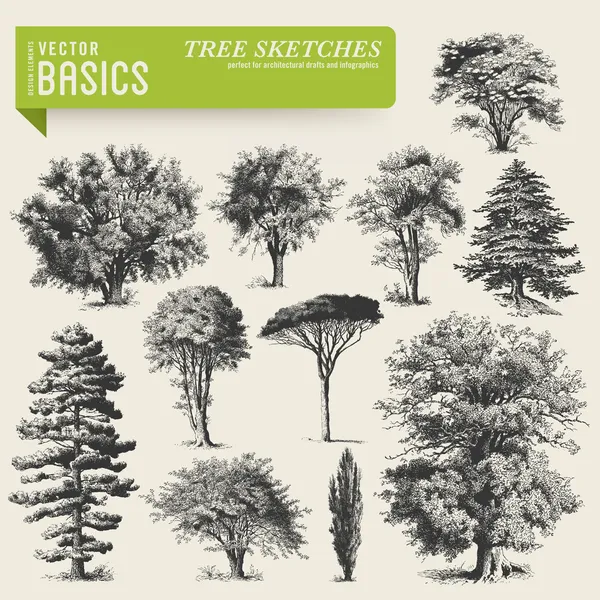 100,000 Tree sketches Vector Images | Depositphotos