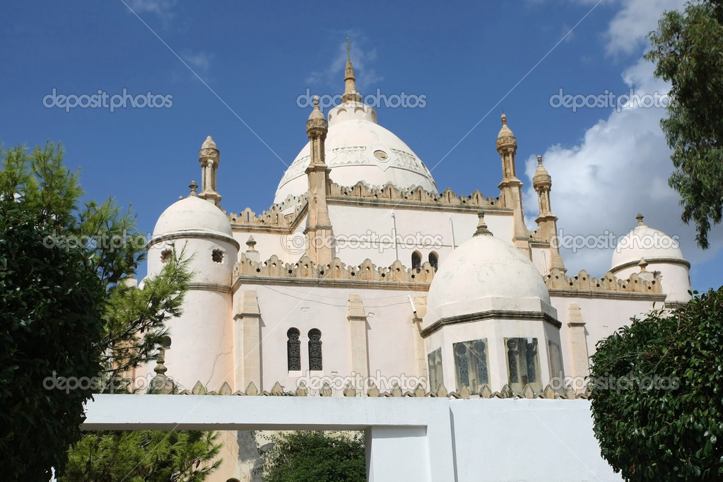 Cathedral of Saint-Louis of Carthage ⬇ Stock Photo, Image by ...