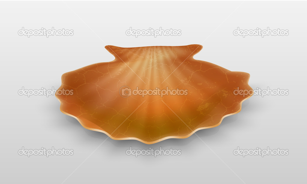 Empty shell Stock Vector Image by ©PanaceaDoll #16381539