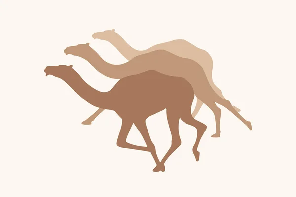 40 Racing camel Vector Images, Racing camel Illustrations | Depositphotos