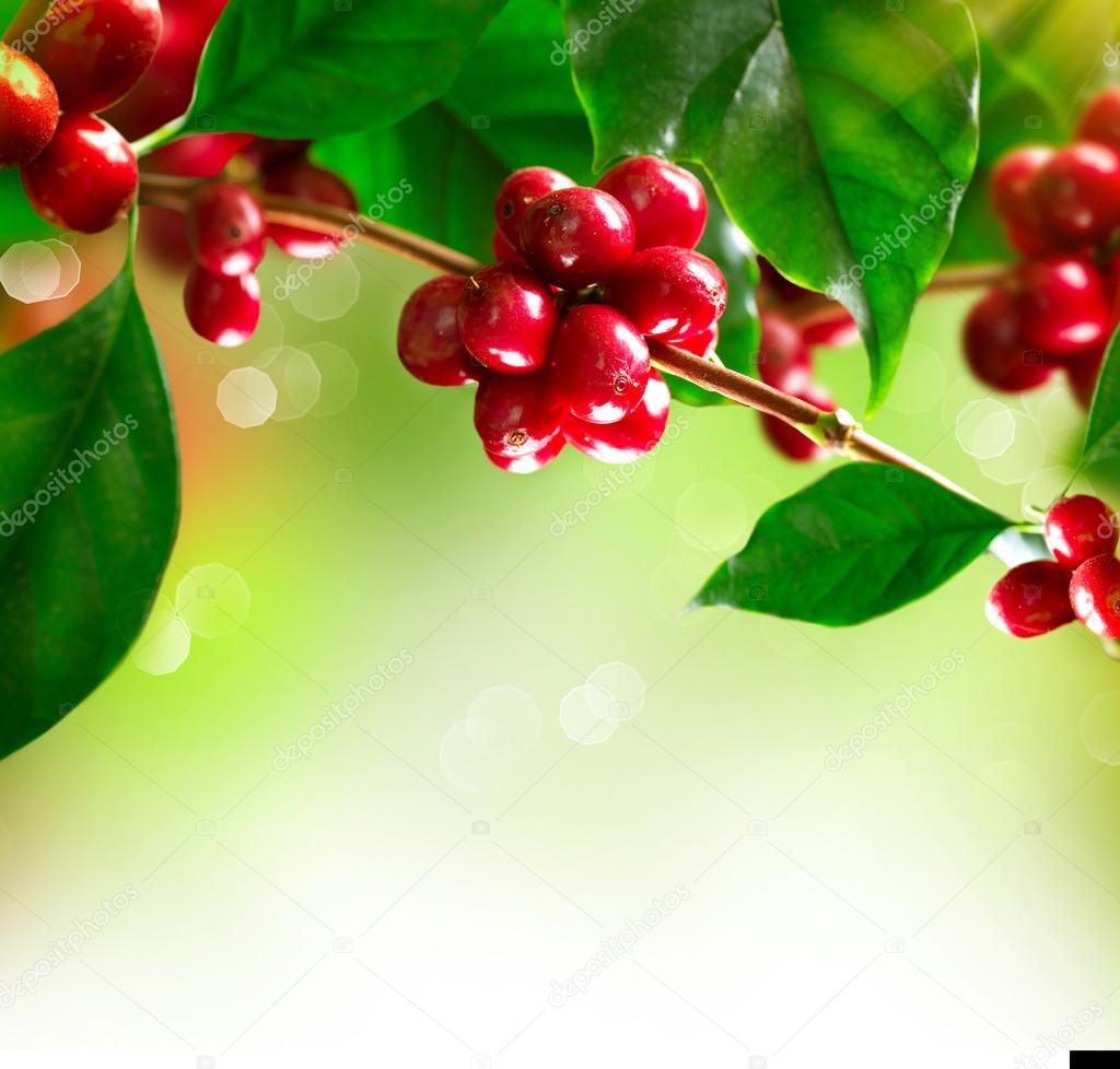 รายการ 92+ ภาพพื้นหลัง Rama8 Cafe รูปภาพ อัปเดต