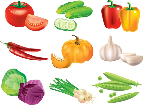 Realistic chopped vegetables Vector Art Stock Images | Depositphotos