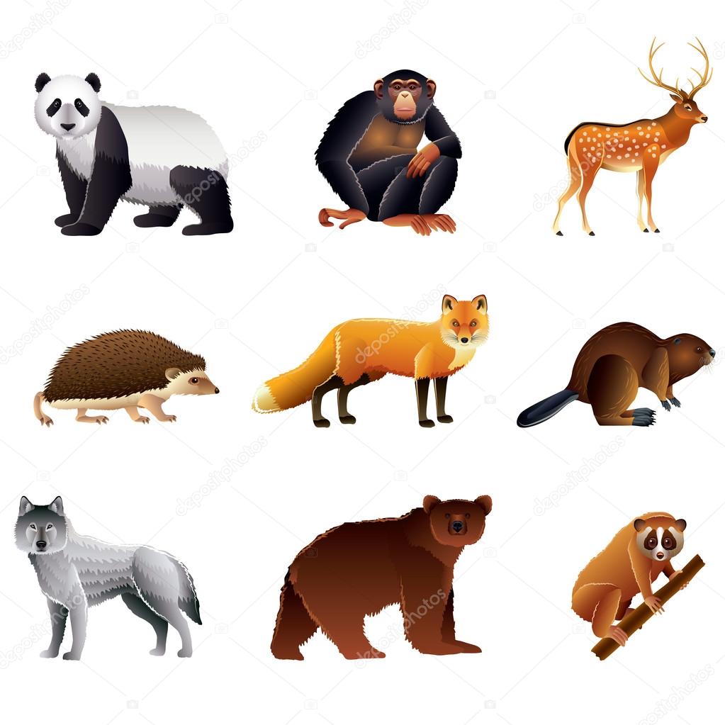 Asian animals vector set Stock Vector Image by ©andegraund548 #39621535