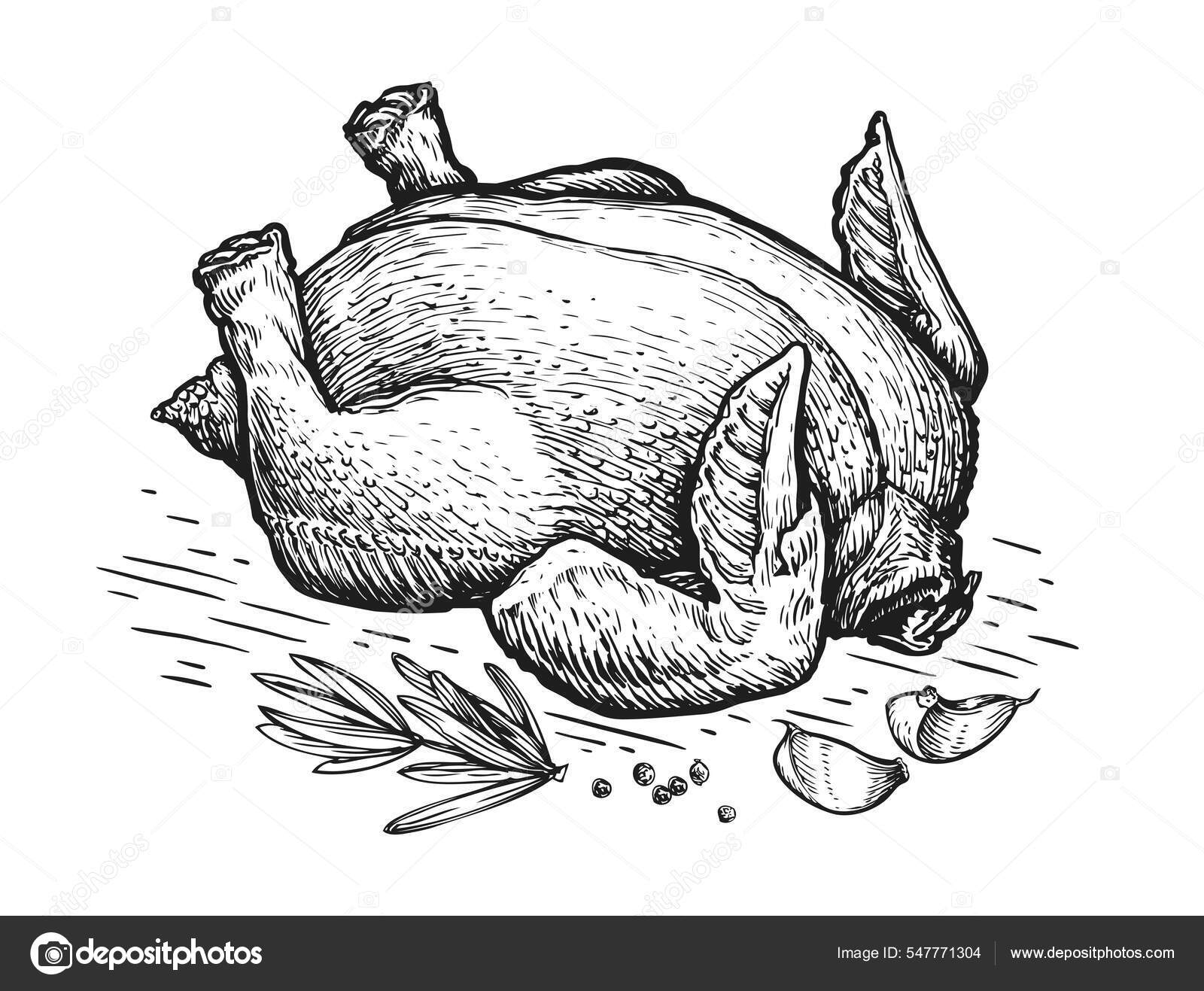 Whole Chicken Raw Carcass Cooking Poultry Meat Vintage Engraving Style ...