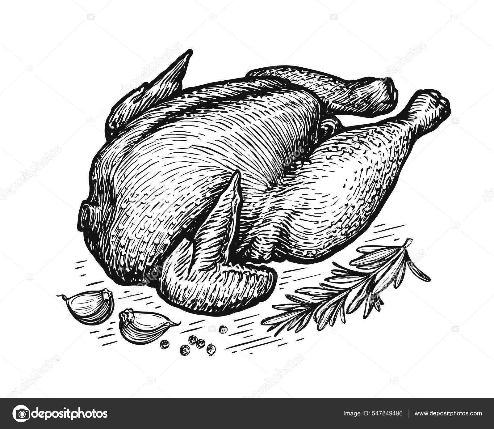 Chicken Raw Carcass Cooking Poultry Meat Engraving Sketch Style ...