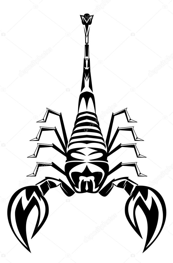Scorpion vector Stock Vector Image by ©premiumdesign #12514146