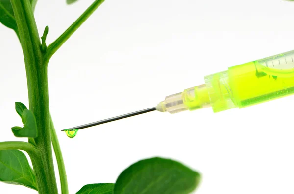 Vitamin Injection (Carrots) Stock Photo by ©HandmadePicture 72761237