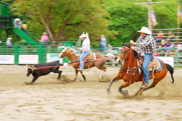 Lazando fotos de stock, imágenes de Lazando sin royalties | Depositphotos
