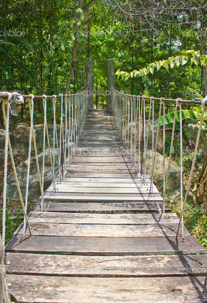 Rope Bridge Through The Forest Stock Photo by ©happymay 32067445