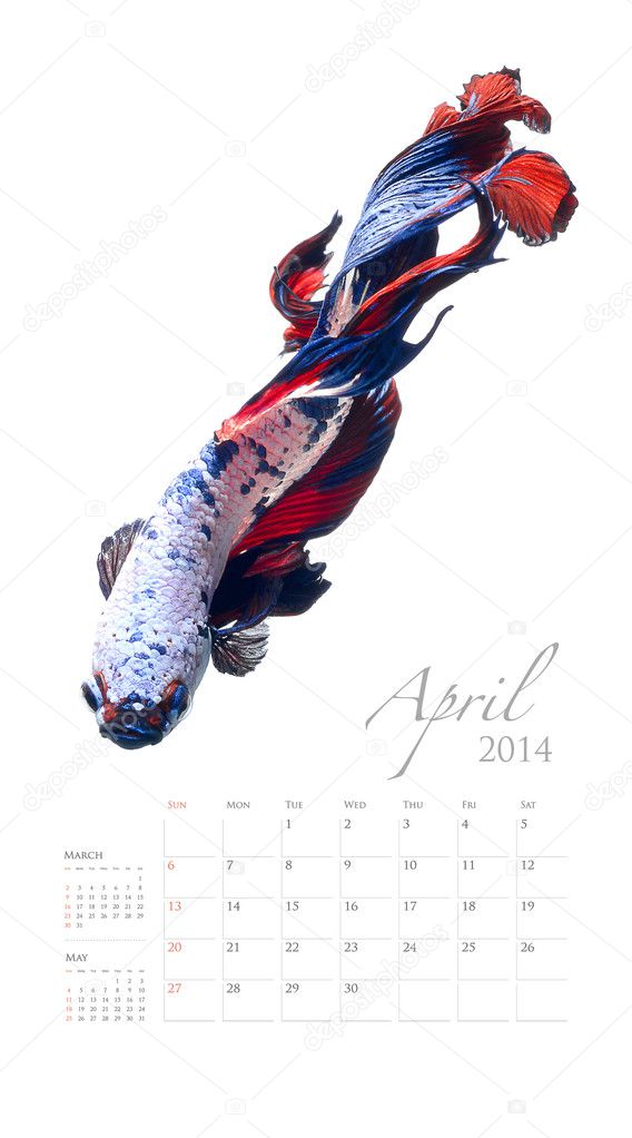 2014 Calendar with fish Stock Photo by ©bluehand 33023579