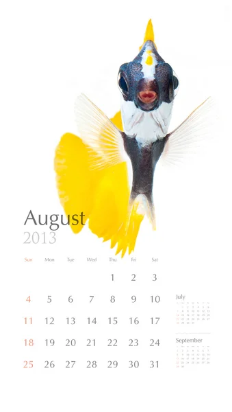 Fish season calendar Stock Photos, Royalty Free Fish season calendar ...