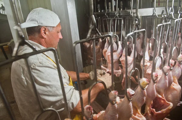 Poultry processing in food industry – Stock Editorial Photo ...